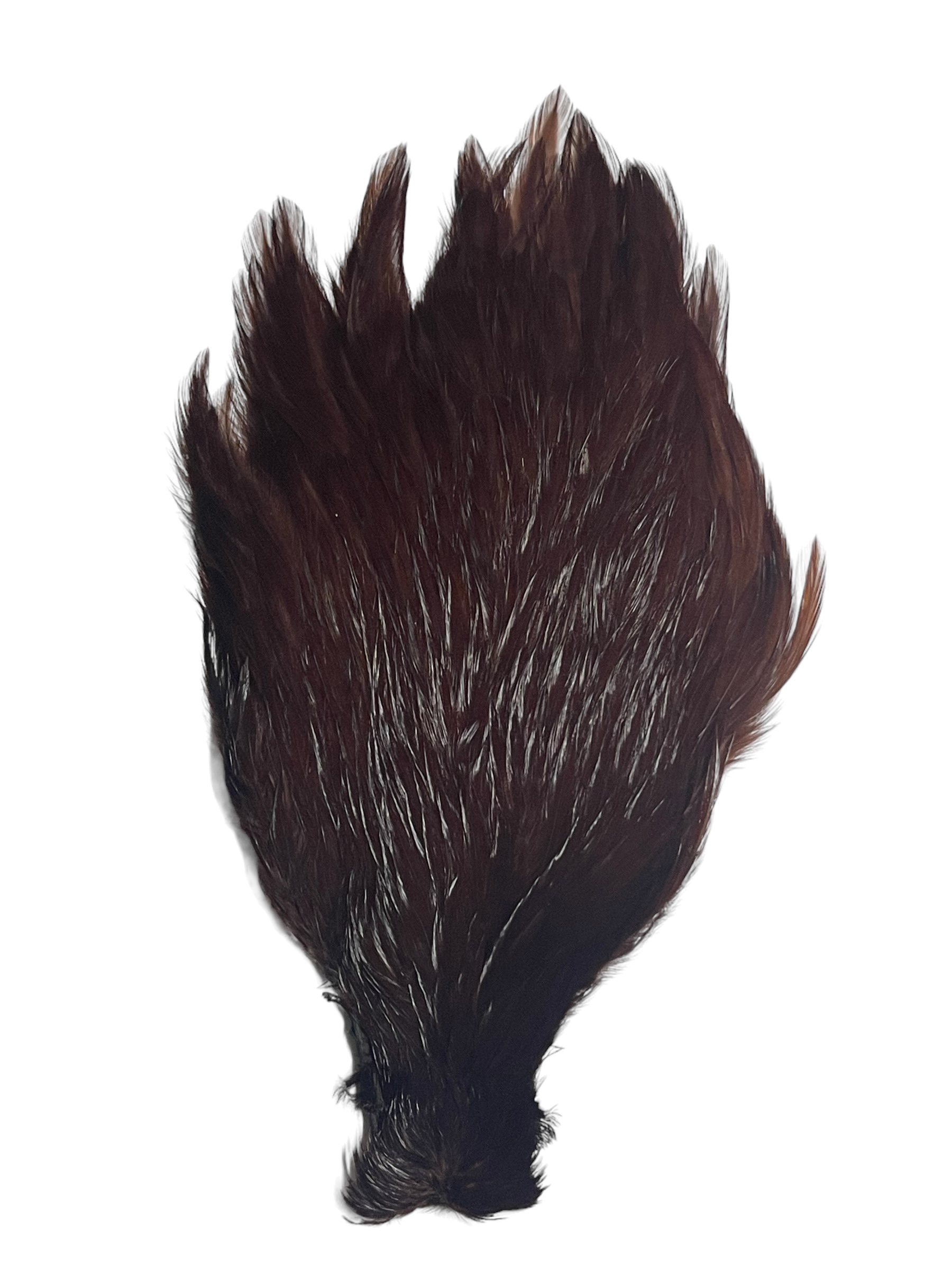 Wapsi Streamer Rooster Neck #1 | Hatch Match’r Fly & Tackle